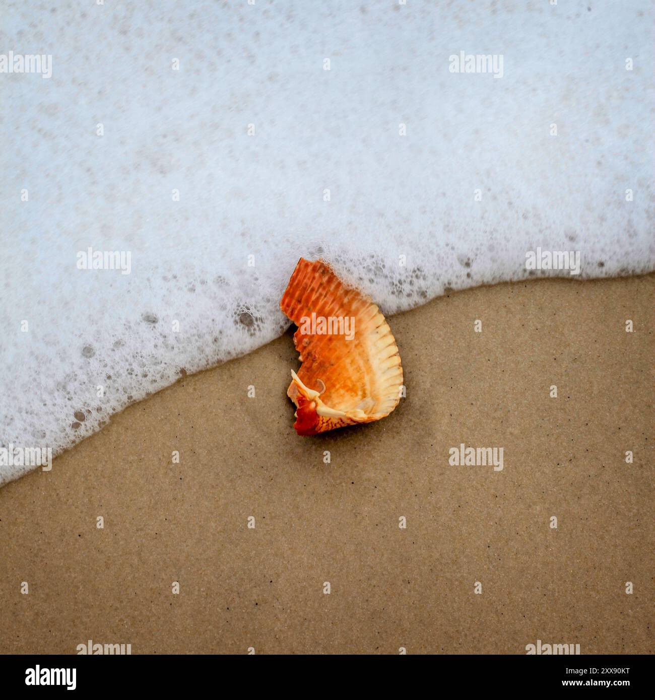 Soldiers from the National Guard 711 Brigade Support Batallion install ...