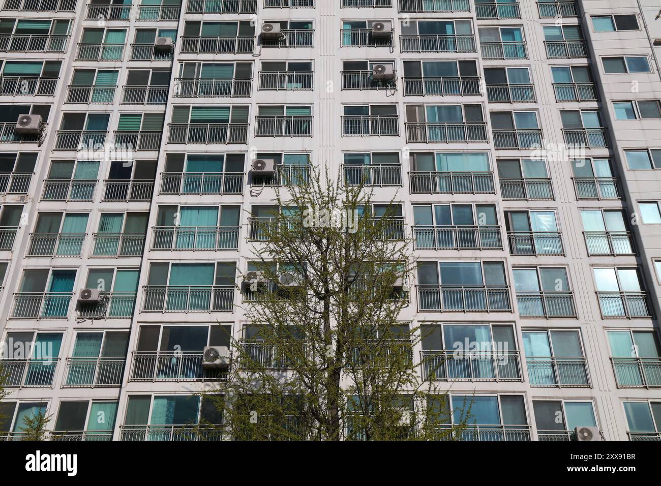 Suwon city view. Tall generic apartment buildings residential ...