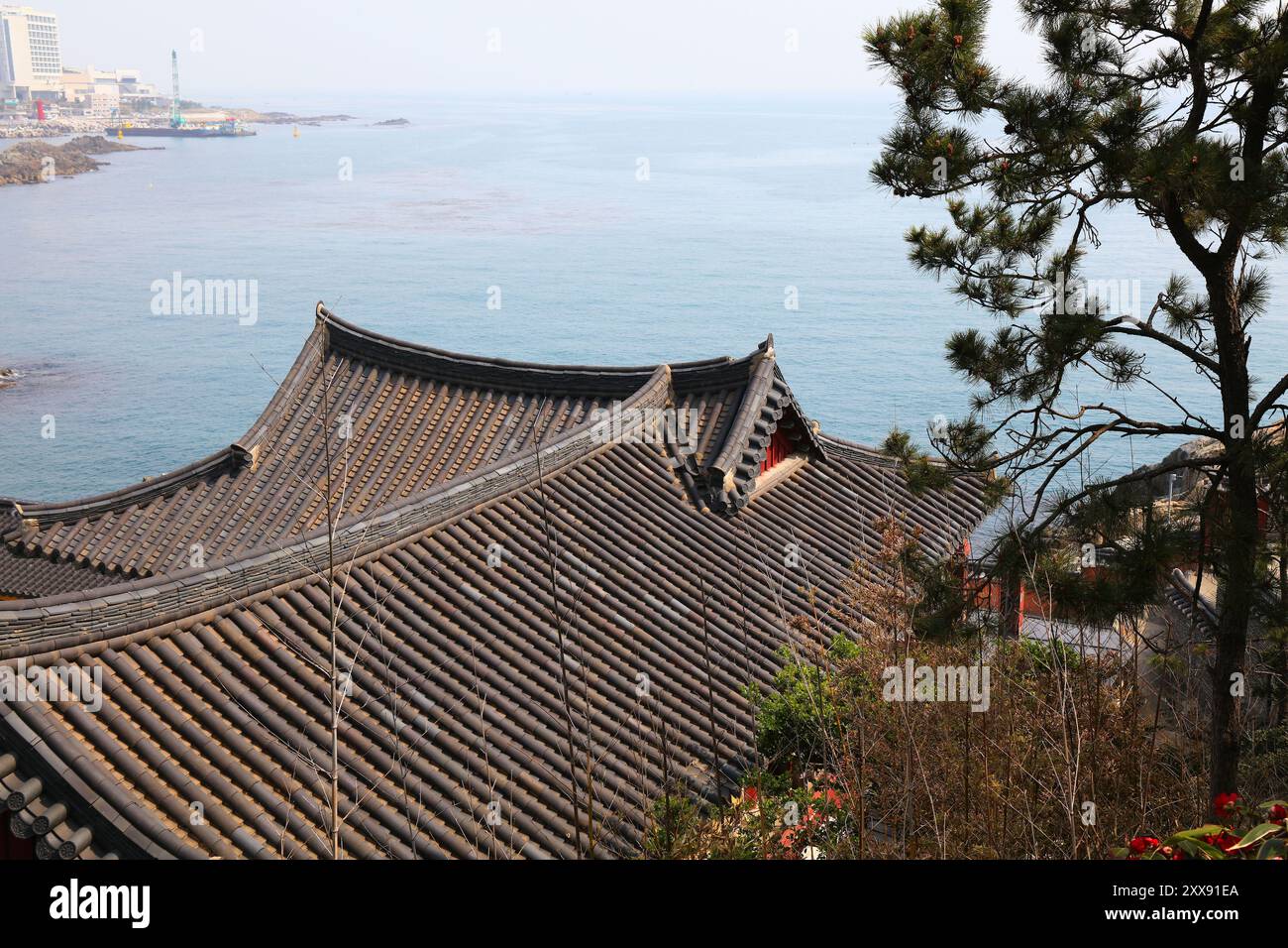 Haedong Yonggungsa Temple by the sea in Busan, South Korea Stock Photo ...