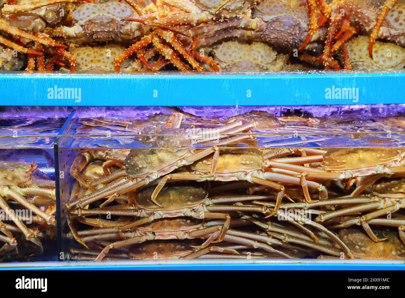 Fish market in Seoul, South Korea. King crab and snow crab at ...