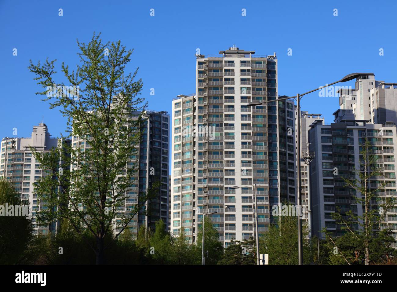 Seoul city view. Tall generic apartment buildings residential ...