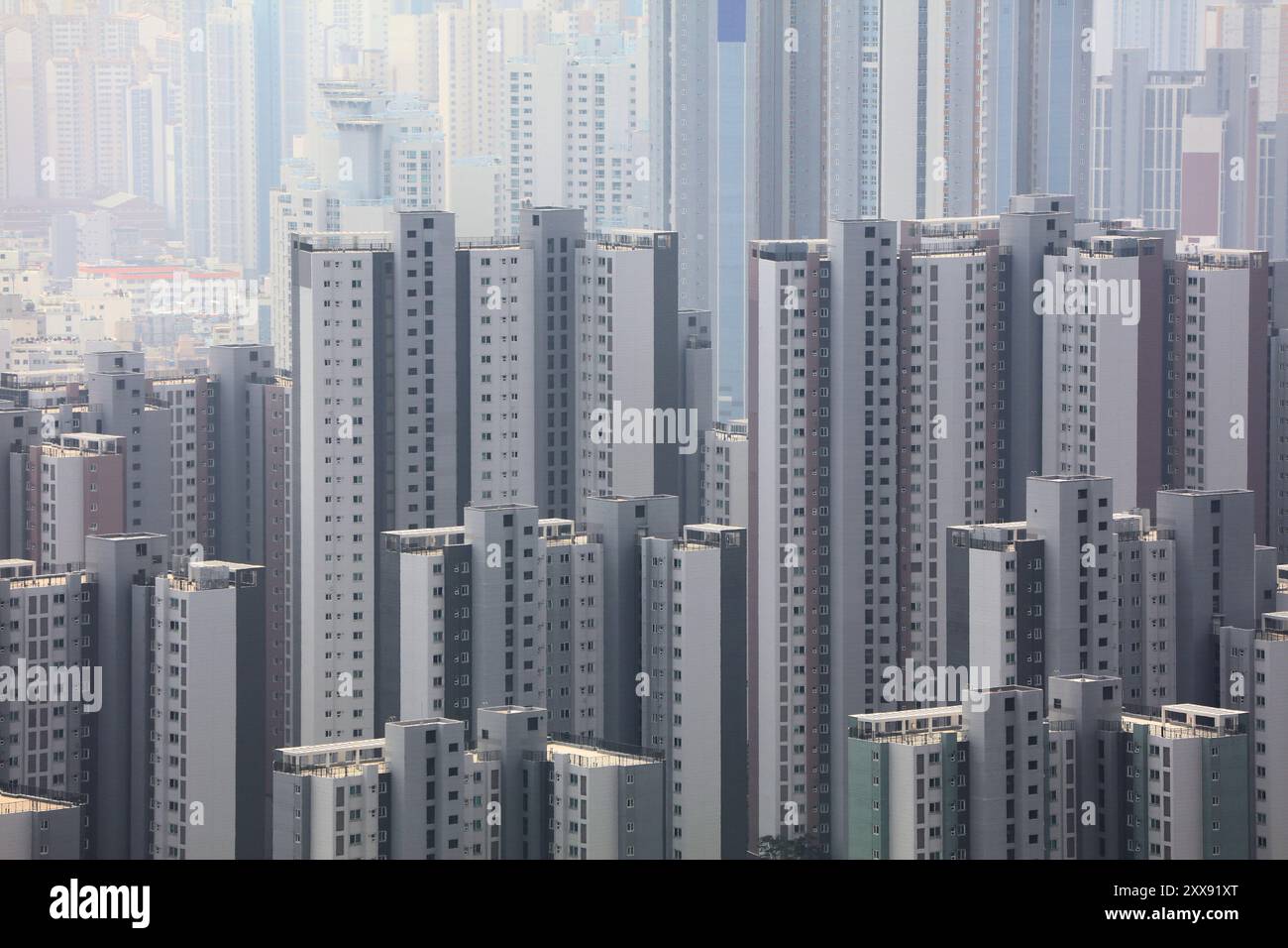 Dongnae District (Dongnae-gu) in Busan city, South Korea. High density ...