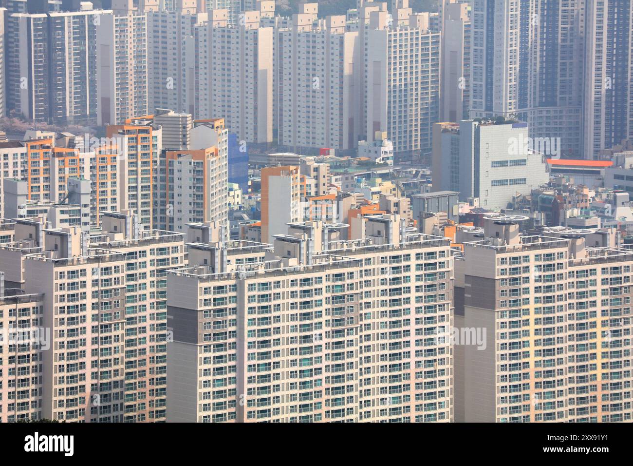 Dongnae District (Dongnae-gu) in Busan city, South Korea. High density ...