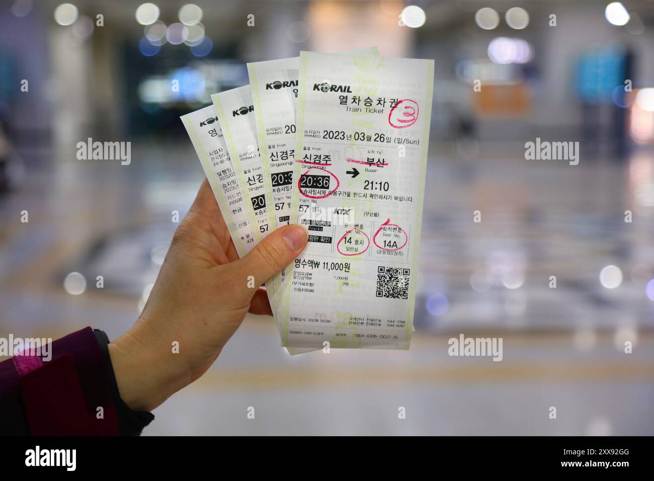 GYEONGJU, SOUTH KOREA - MARCH 26, 2023: Tourist holds Korail KTX high ...