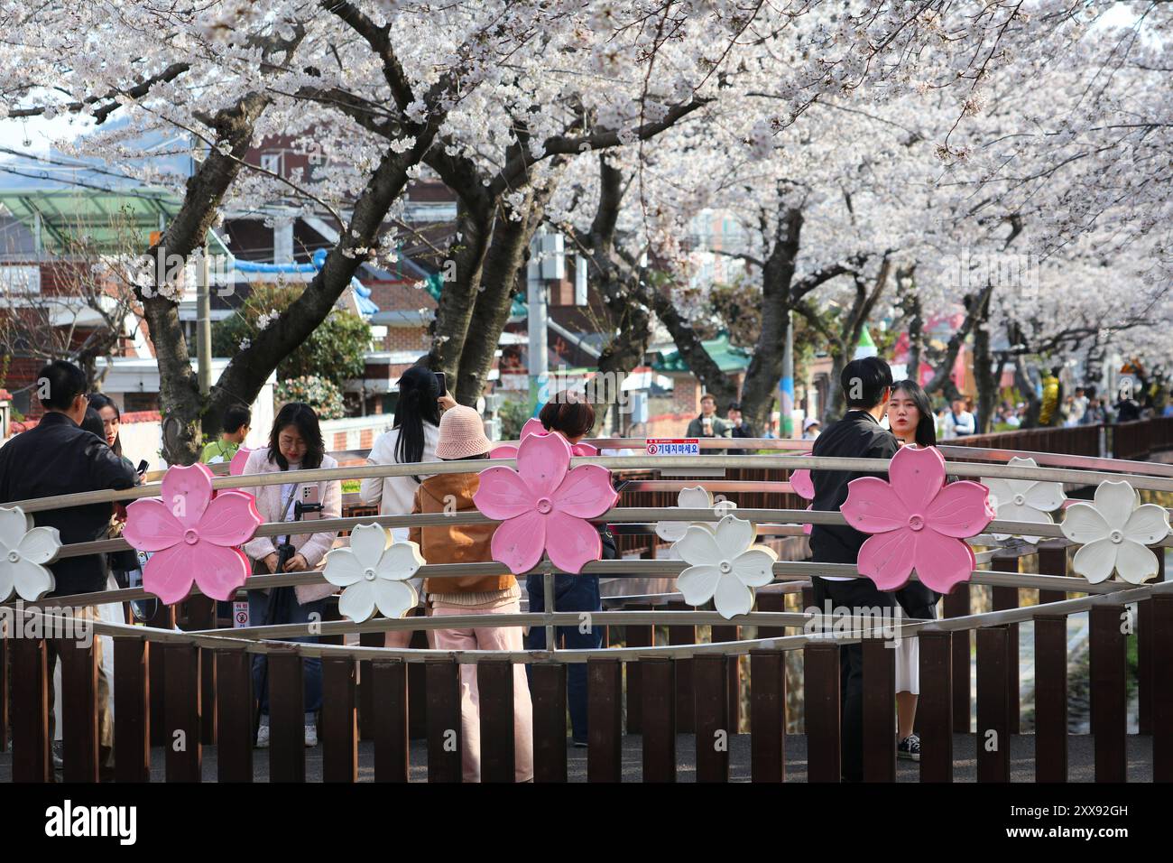 JINHAE, SOUTH KOREA - MARCH 28, 2023: People visit Jinhae Cherry ...