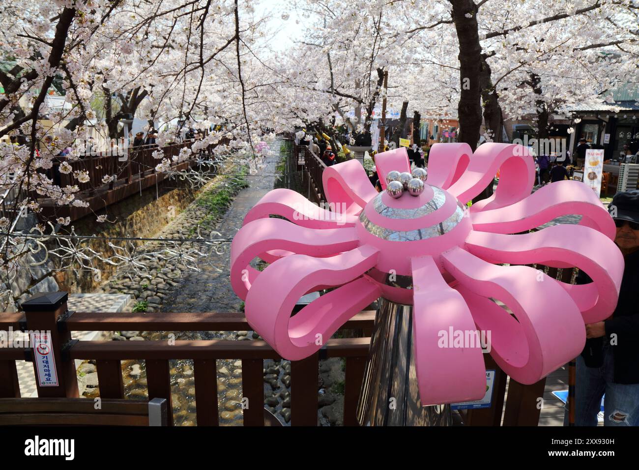 JINHAE, SOUTH KOREA - MARCH 28, 2023: Decorations of Jinhae Cherry ...