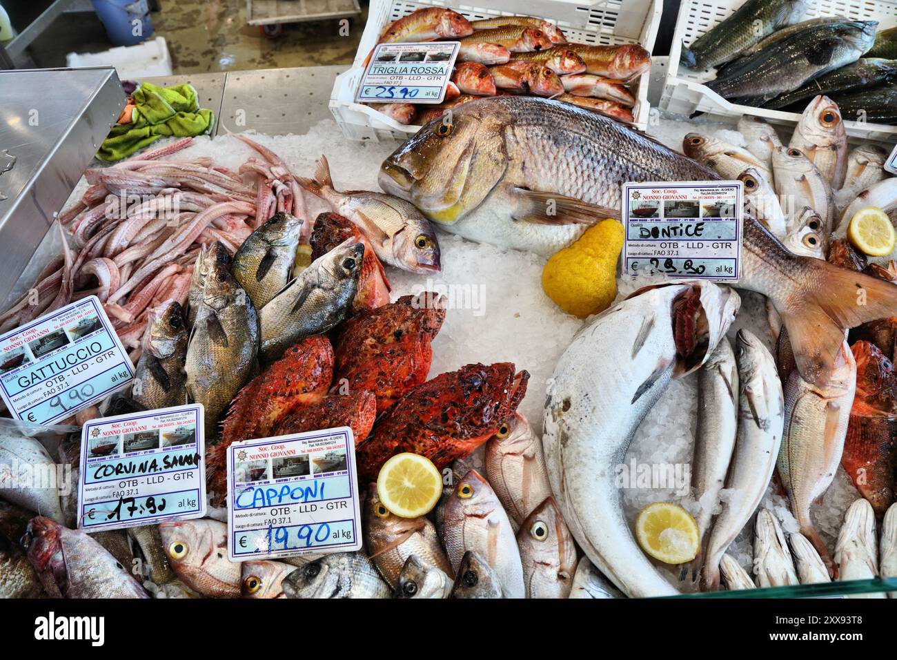 ALGHERO, ITALY - MAY 29, 2023: Various fish at local fish market in ...