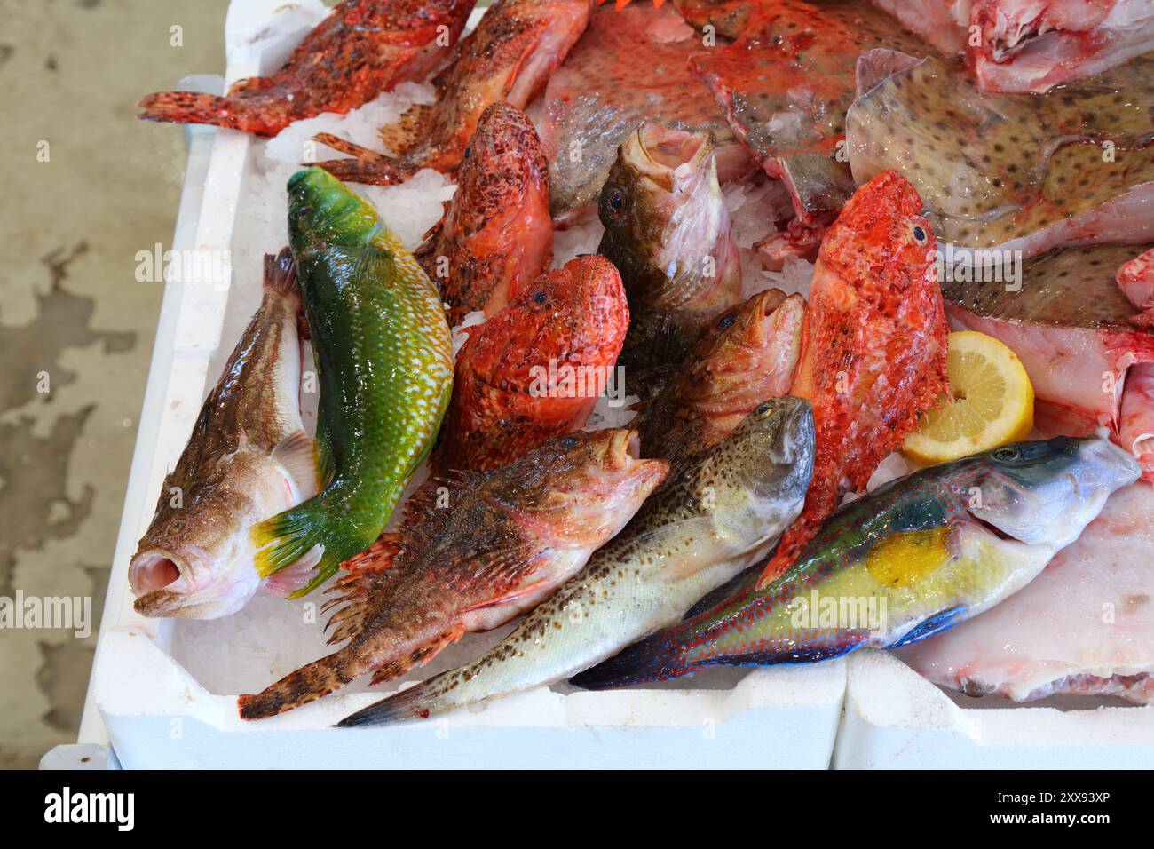 Fish market in Alghero town in Sardinia island, Italy. Red gurnard ...