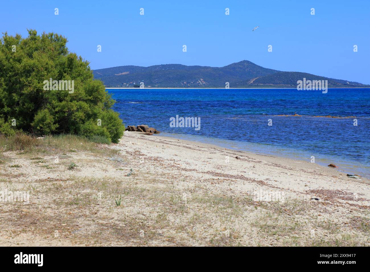 San Giovanni beach (Spiaggia di San Giovanni). Sandy beach in San ...
