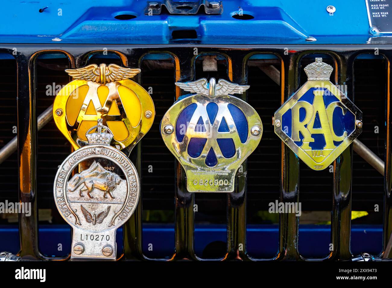 Close-up view of automobile badges, including AA and RAC emblems ...