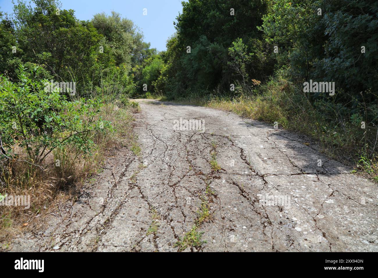 Damaged concrete road surface with weeds in Sardinia, Italy ...