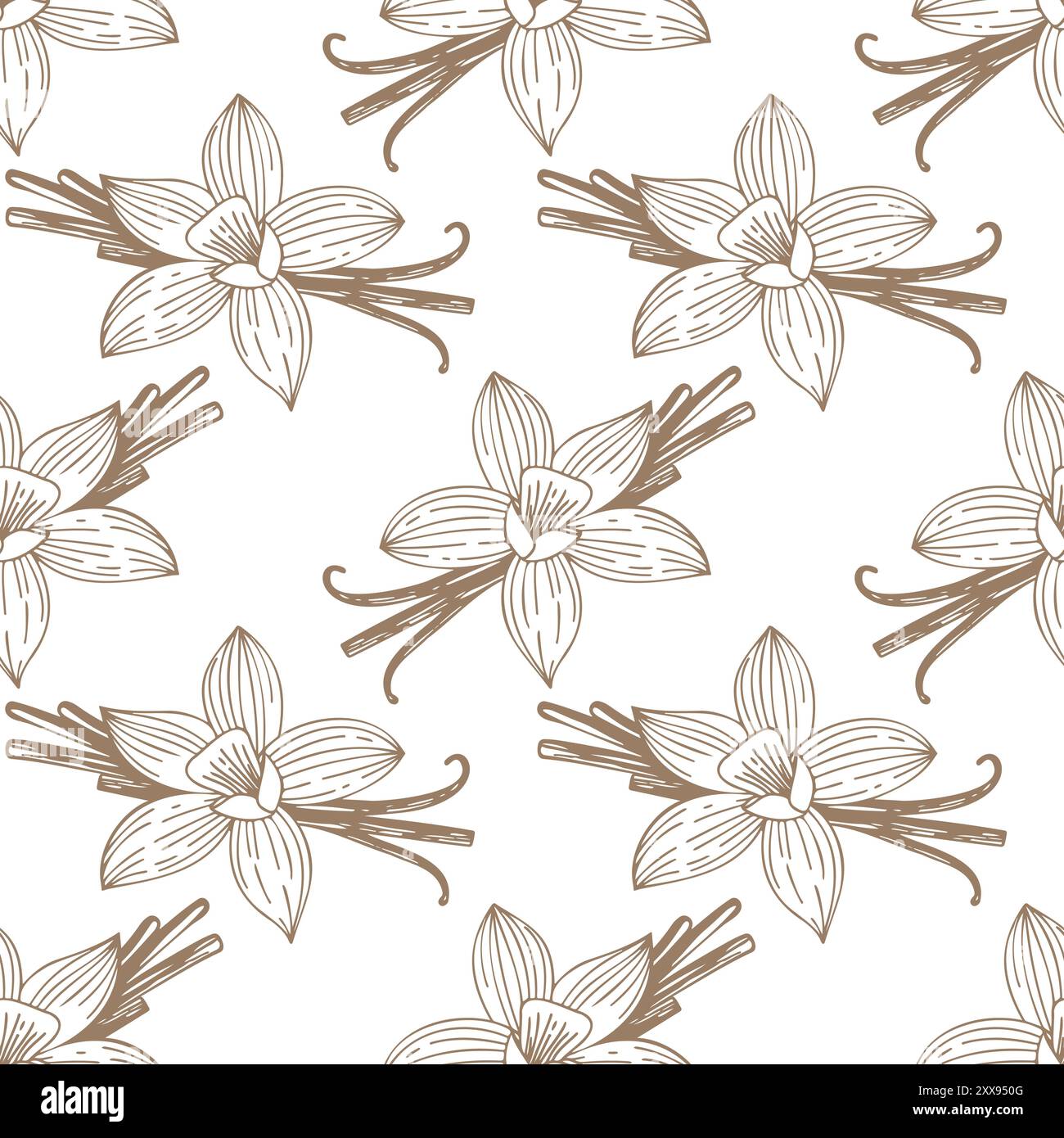 Aromatic spice pattern with vanilla flowers and pods. Vector ...