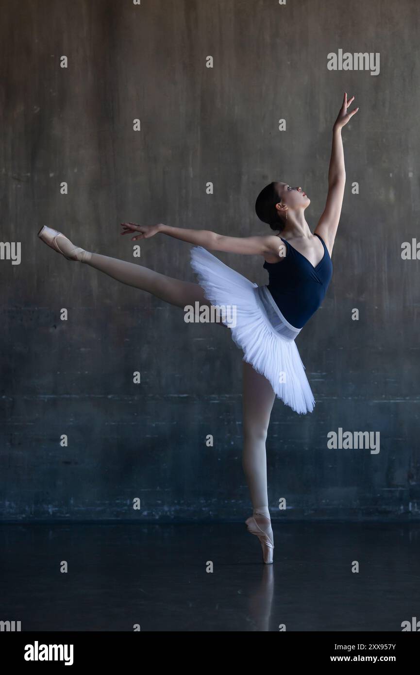 Ballerina in a dance pose Stock Photo - Alamy