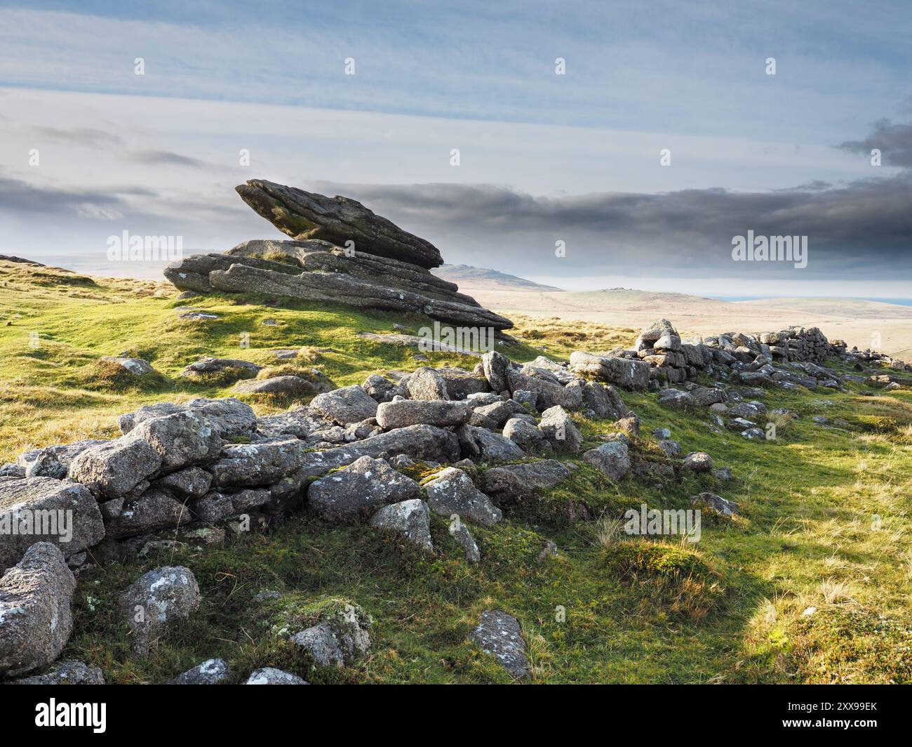 Rabbit Rock next to Irishman's Wall near Belstone Tor, Dartmoor UK ...