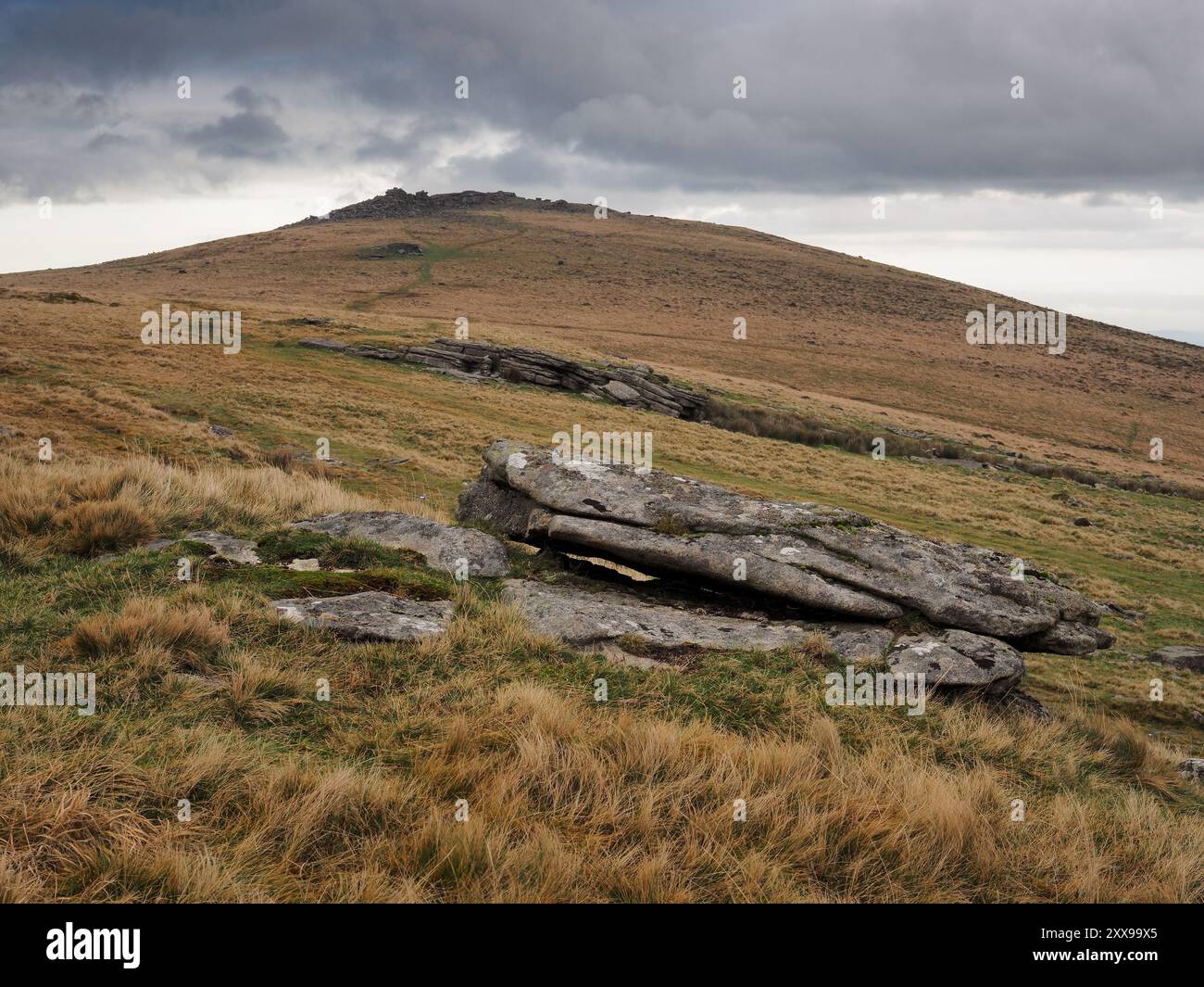 Higher moors nature trail hi-res stock photography and images - Alamy