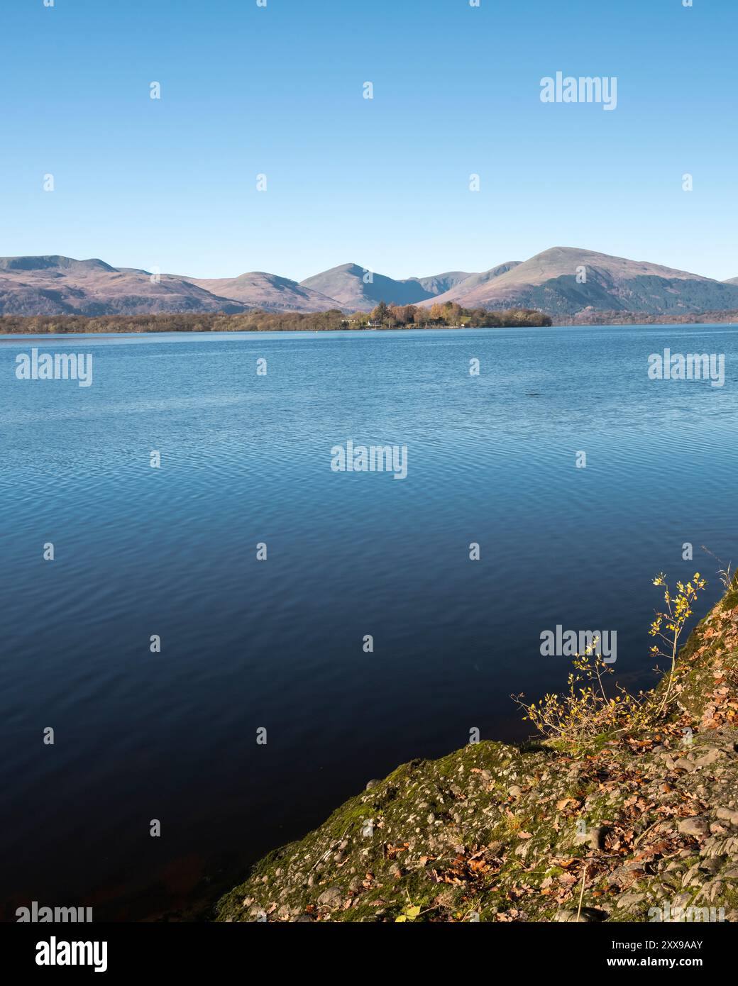 View the Loch at Loch Lomond, Scotland Stock Photo - Alamy