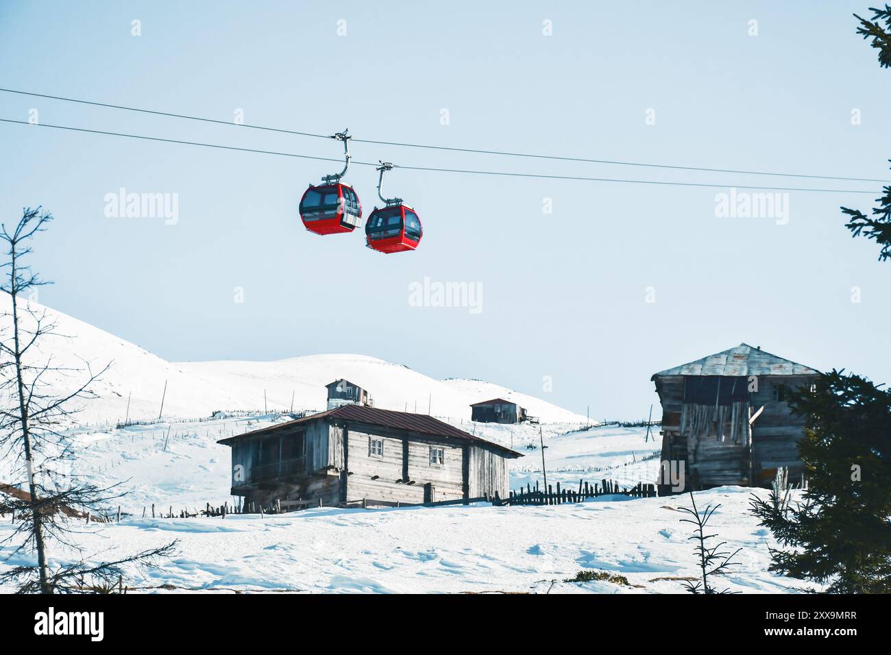 Red gondola ski cable way lift isolated in fir forest in Goderdzi ski ...
