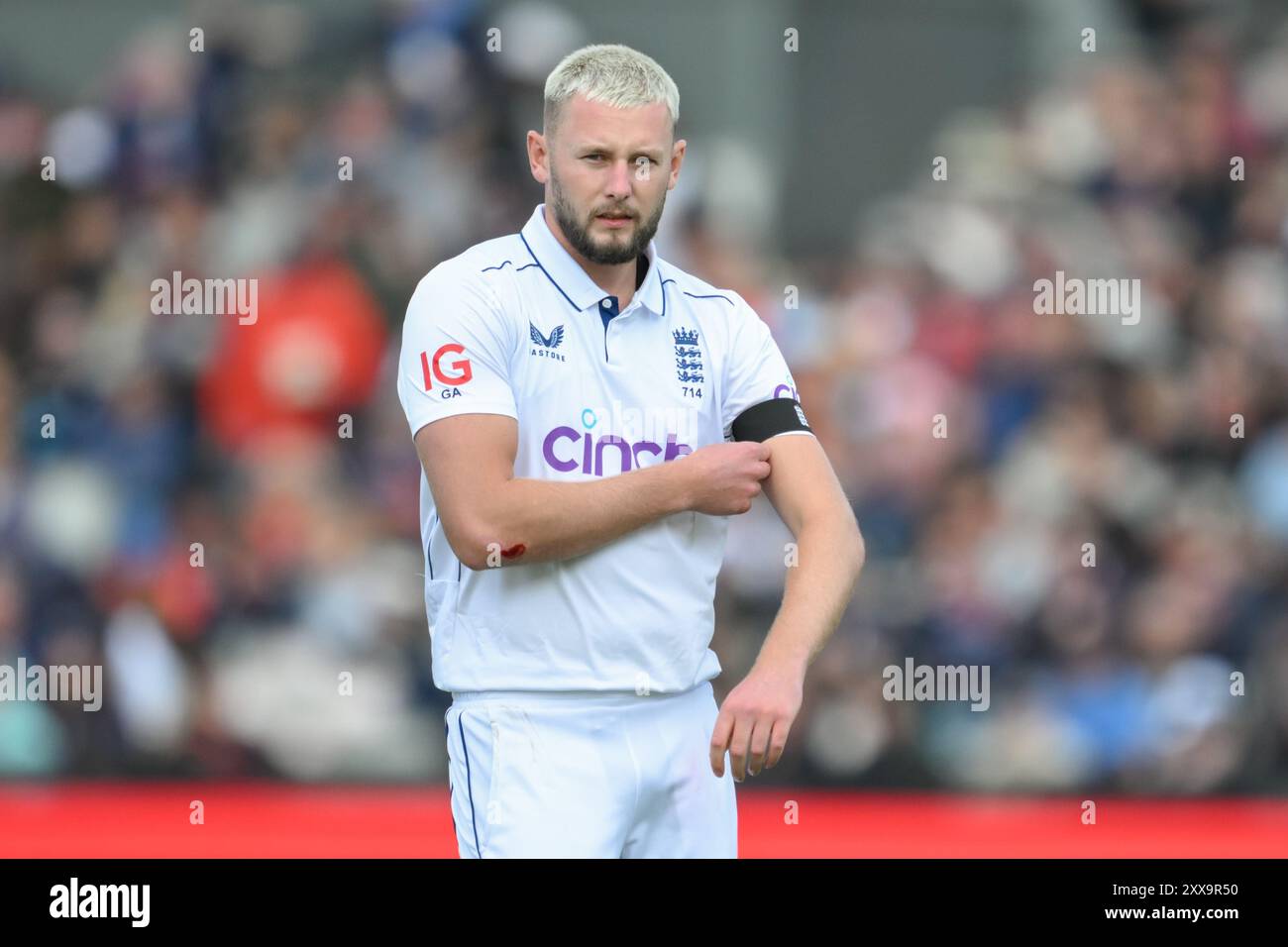 Thomas gus hi-res stock photography and images - Alamy