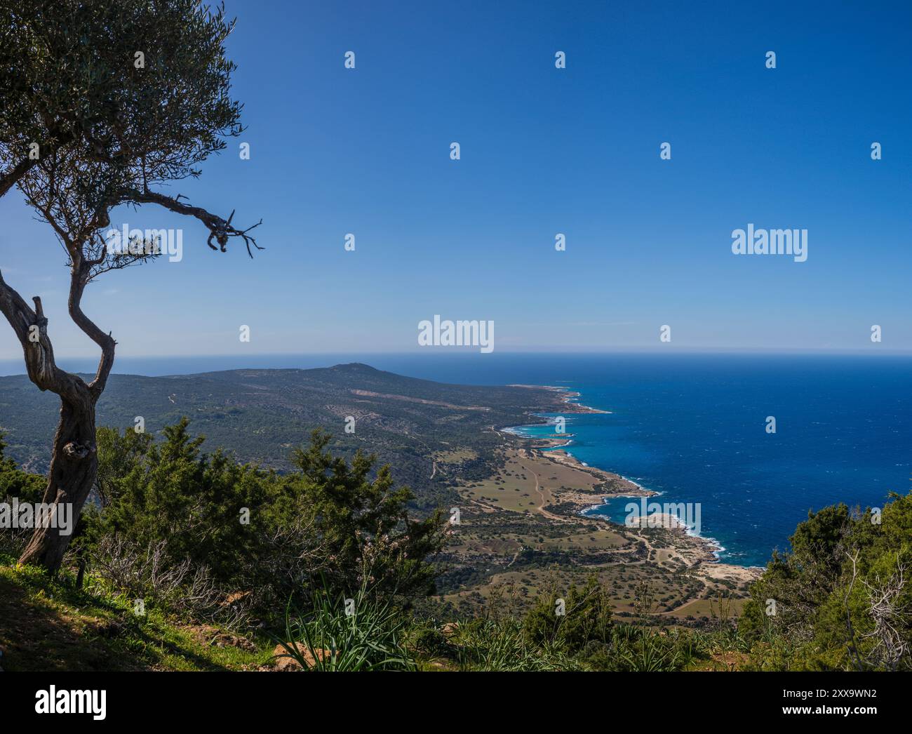 View of the Mediterranean Sea, Akama national forest park, Cyprus Stock ...