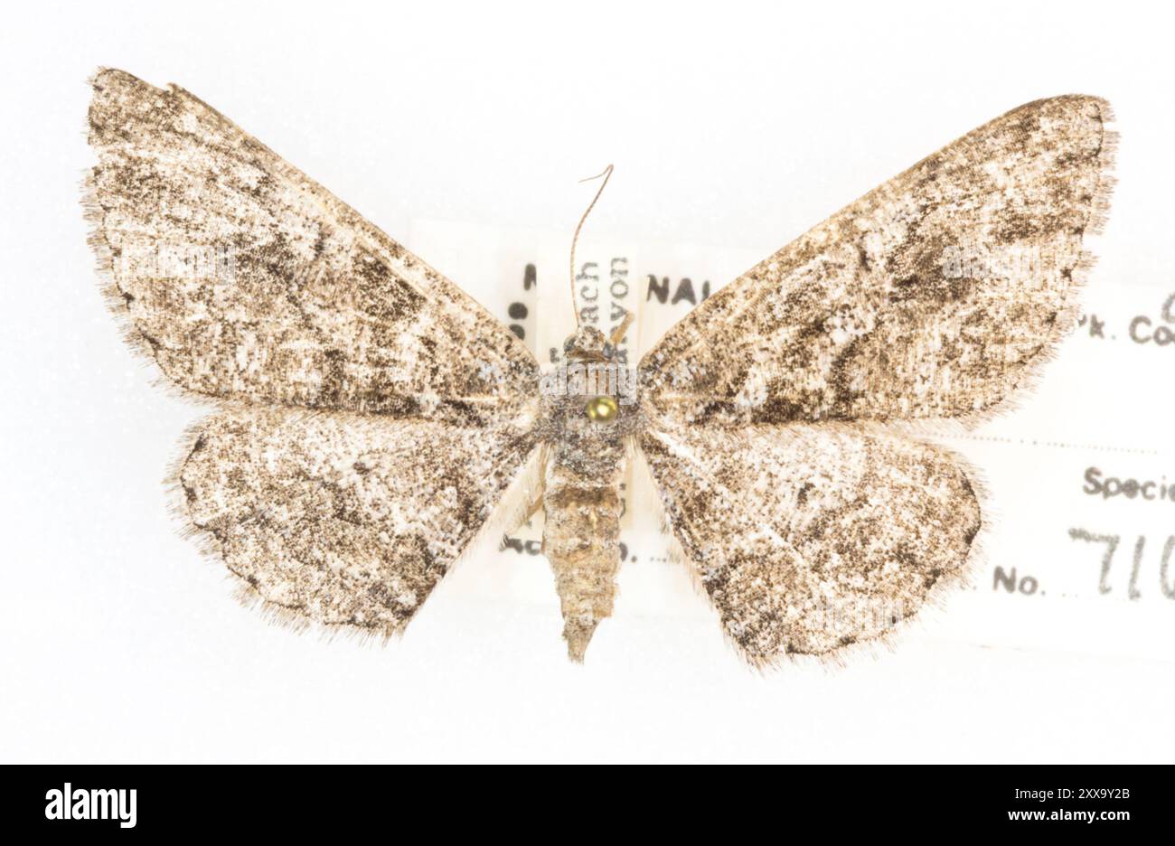 Glena hi-res stock photography and images - Alamy