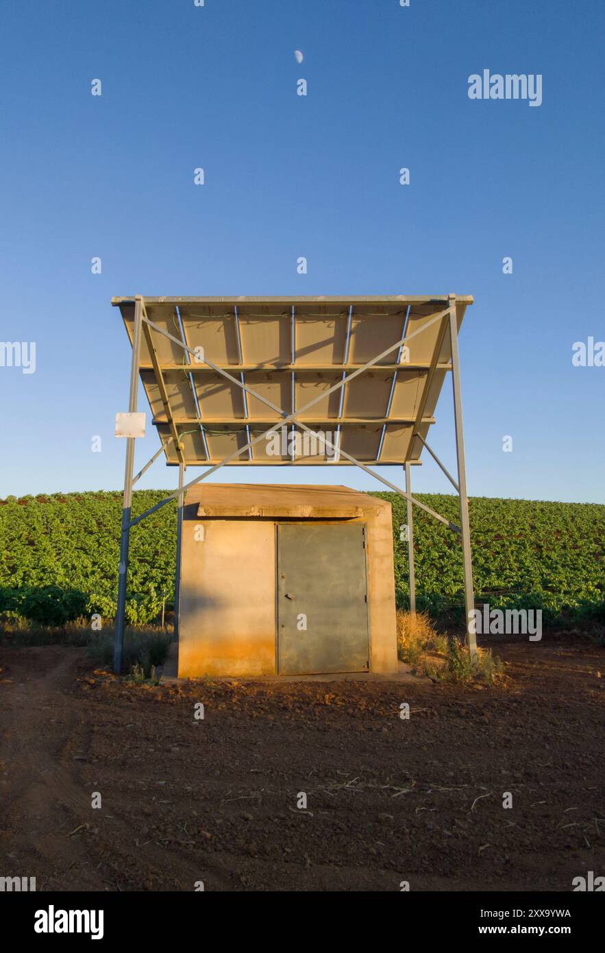 Solar pumping installation for irrigating vineyards. Extraction of ...