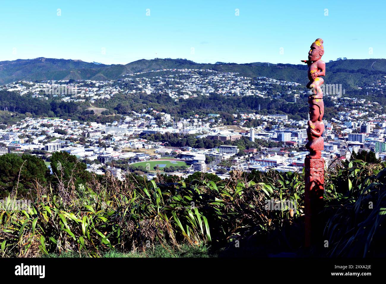 Mount Victoria Wellington Mount Victoria | Wellington, New Zealand