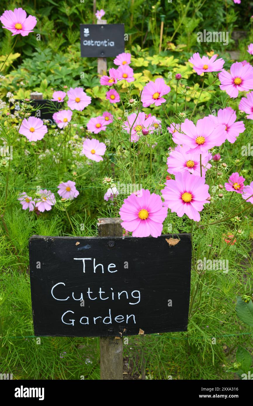The cutting garden Stock Photo - Alamy