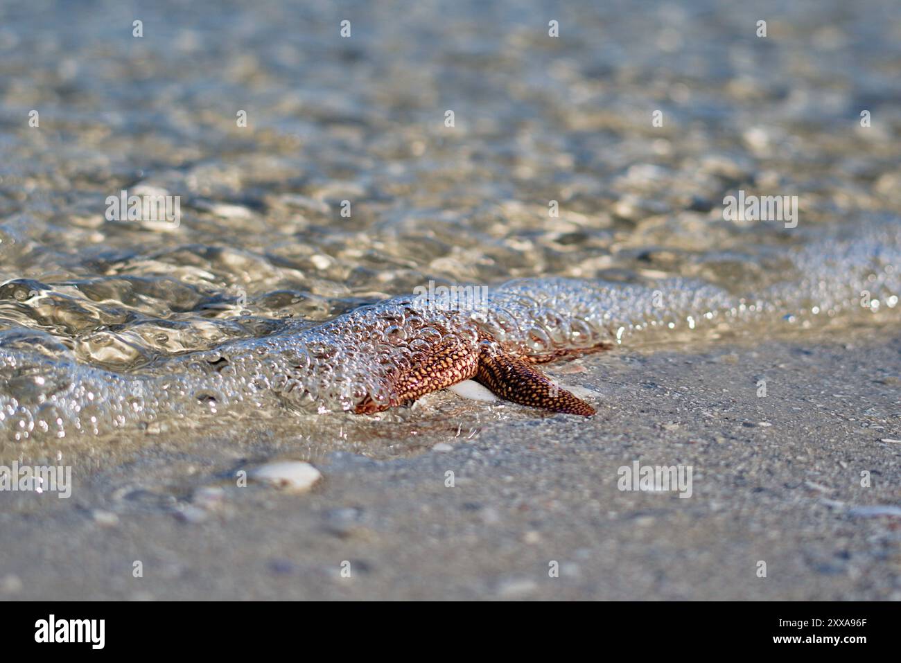 Ocean water ripples beach partially hi-res stock photography and images ...