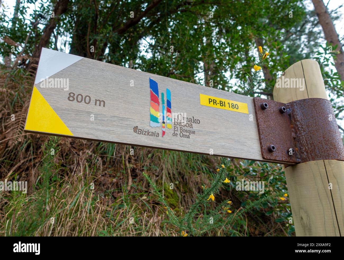 Visitor information sign at El Bosque de Oma, a forest with painted ...