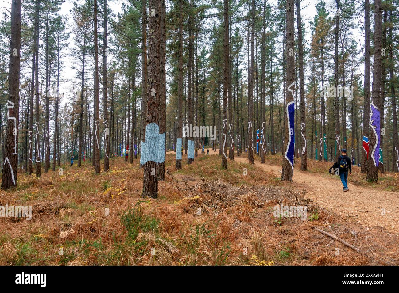 Painted trees and 'land art' at the Bosque de Oma (Oma forest) near ...