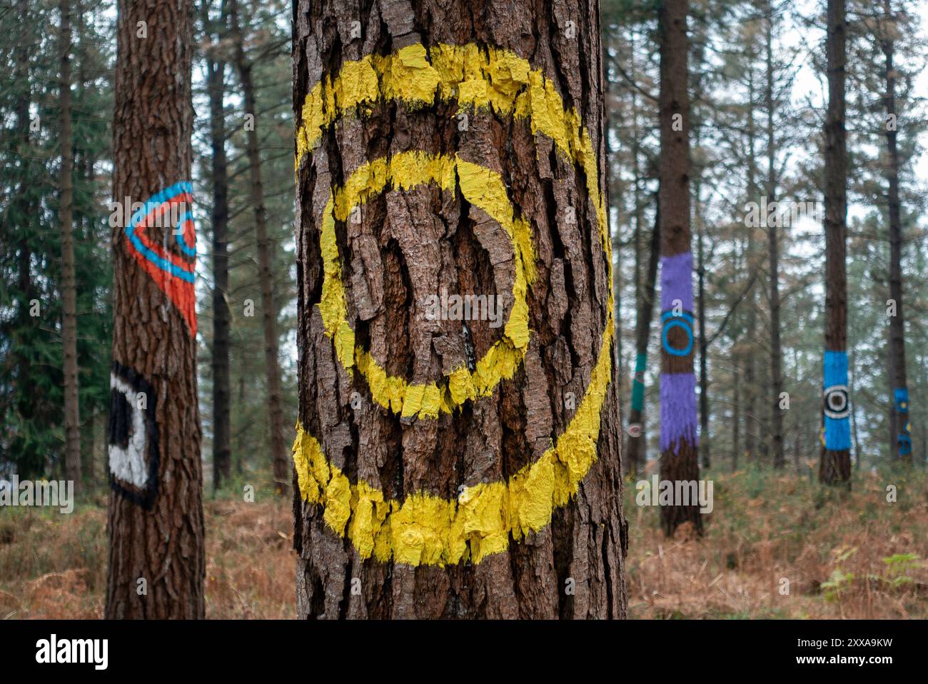Painted trees and 'land art' at the Bosque de Oma (Oma forest) near Kortezubi in the Basque ...