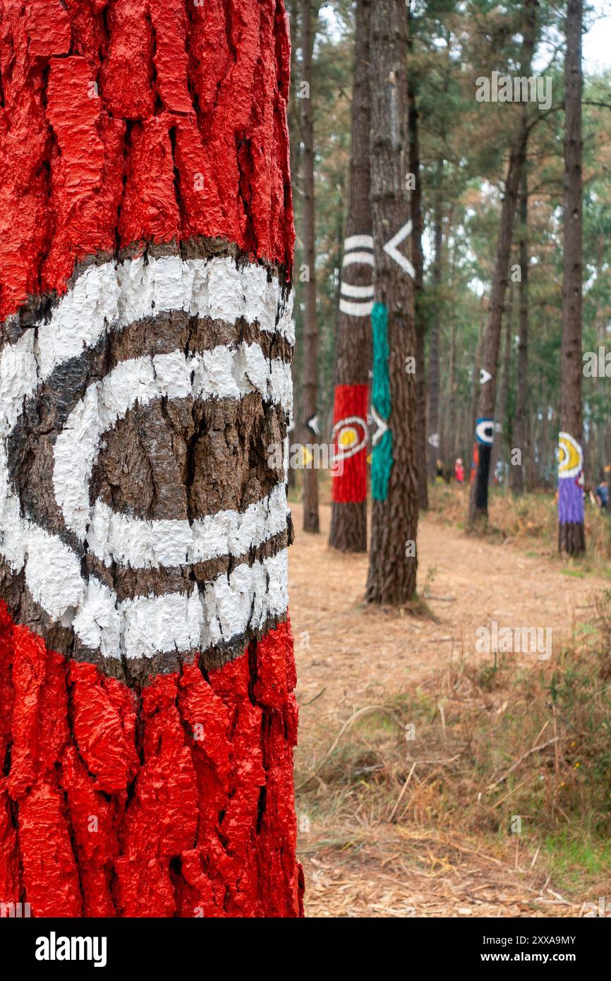 Painted trees and 'land art' at the Bosque de Oma (Oma forest) near ...