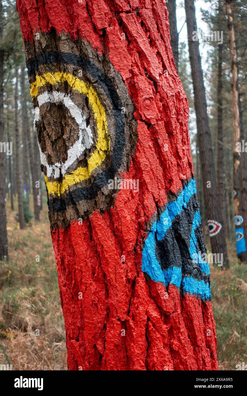 Painted trees and 'land art' at the Bosque de Oma (Oma forest) near ...
