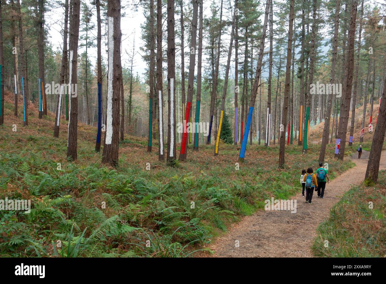 Painted trees and 'land art' at the Bosque de Oma (Oma forest) near ...