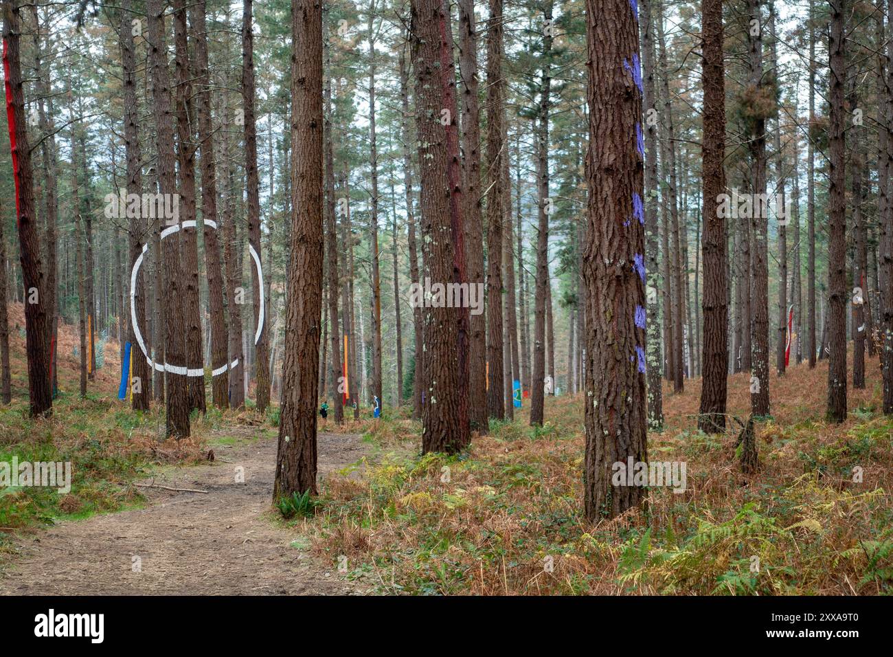 Painted trees and 'land art' at the Bosque de Oma (Oma forest) near ...