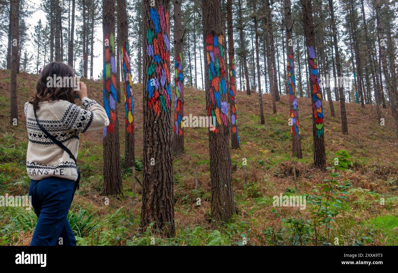 Area de bosque hi-res stock photography and images - Alamy