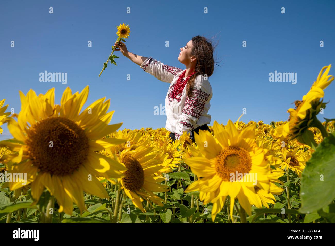 Zhenya Dove, an activist and volunteer from Kherson, Ukraine, who is ...