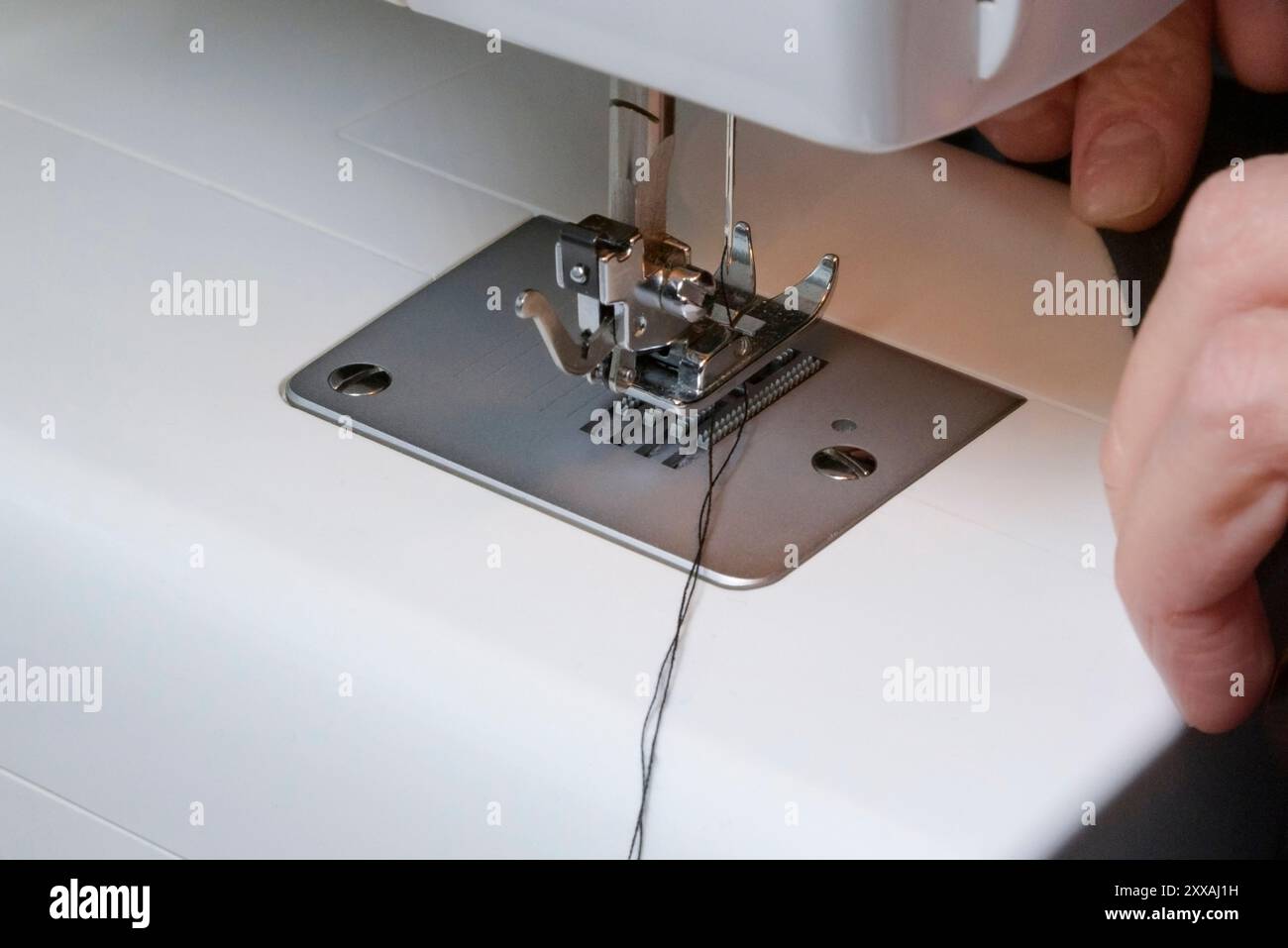 Process working needle sewing machine hi-res stock photography and ...