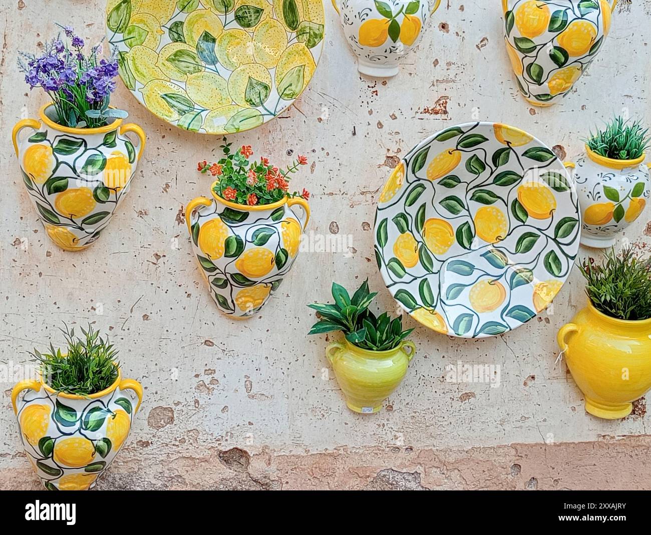 Traditional ceramic pots with traditional Mediterranean plants ...