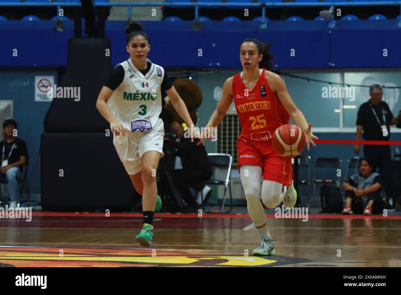 Marija Lekovic #25 of Team Montenegro handles the ball during the Semi ...