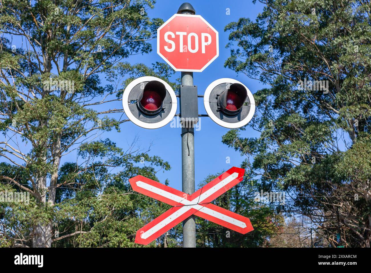 Train crossing warning two red lights and stop sign a close-up photo in ...