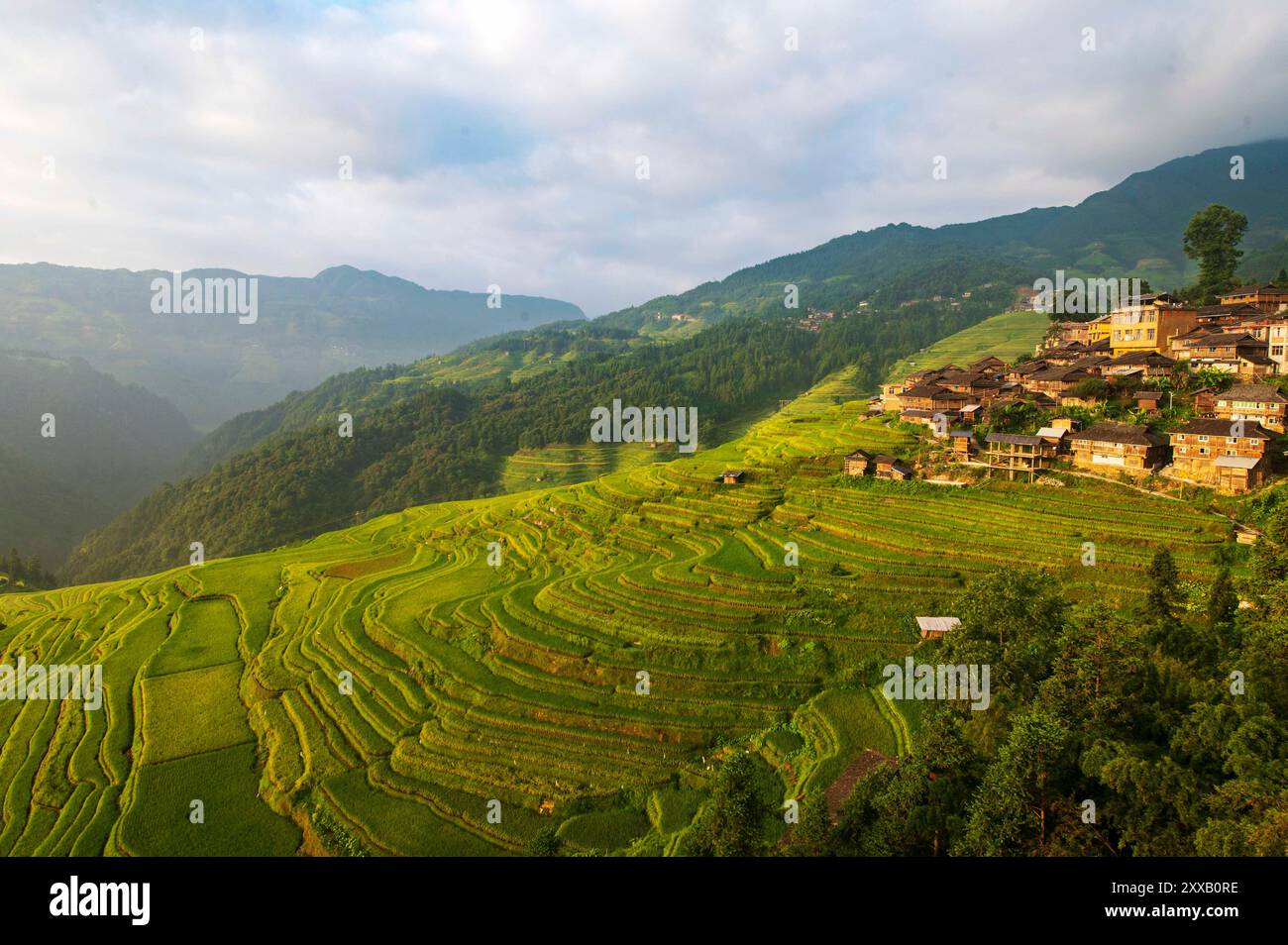 Congjiang, China. 23rd Aug, 2024. A photo taken on August 21, 2024 ...