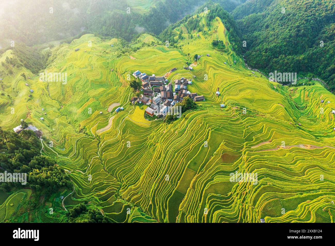 A photo taken on August 21, 2024, shows the view of the rice terraces ...