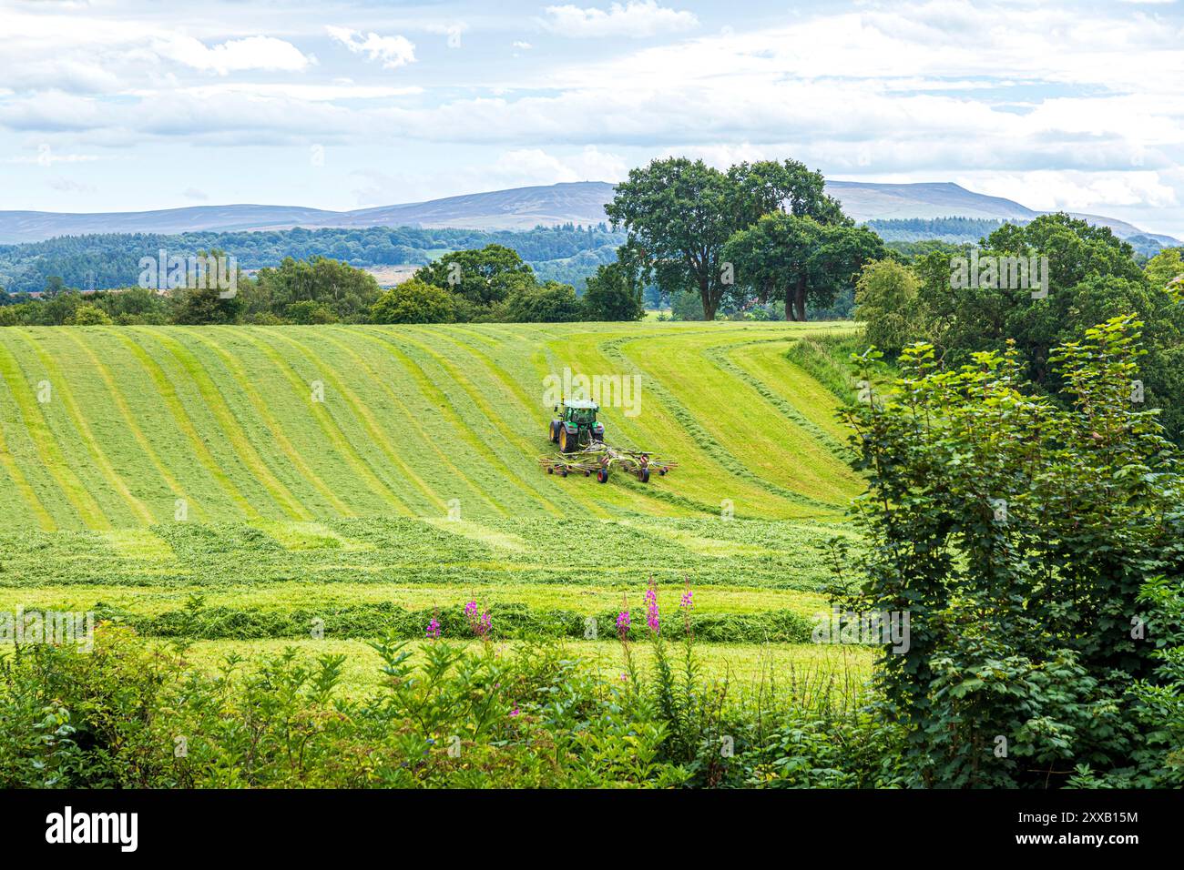Turning grass for silage making with a John Deere 6130R tractor and a ...