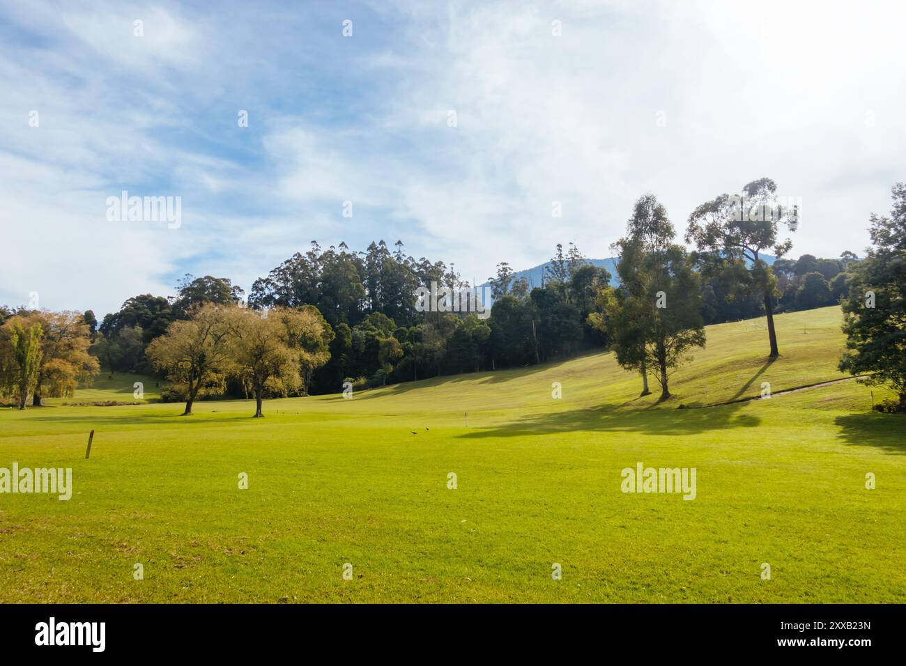 Warburton Golf Club in Australia Stock Photo - Alamy