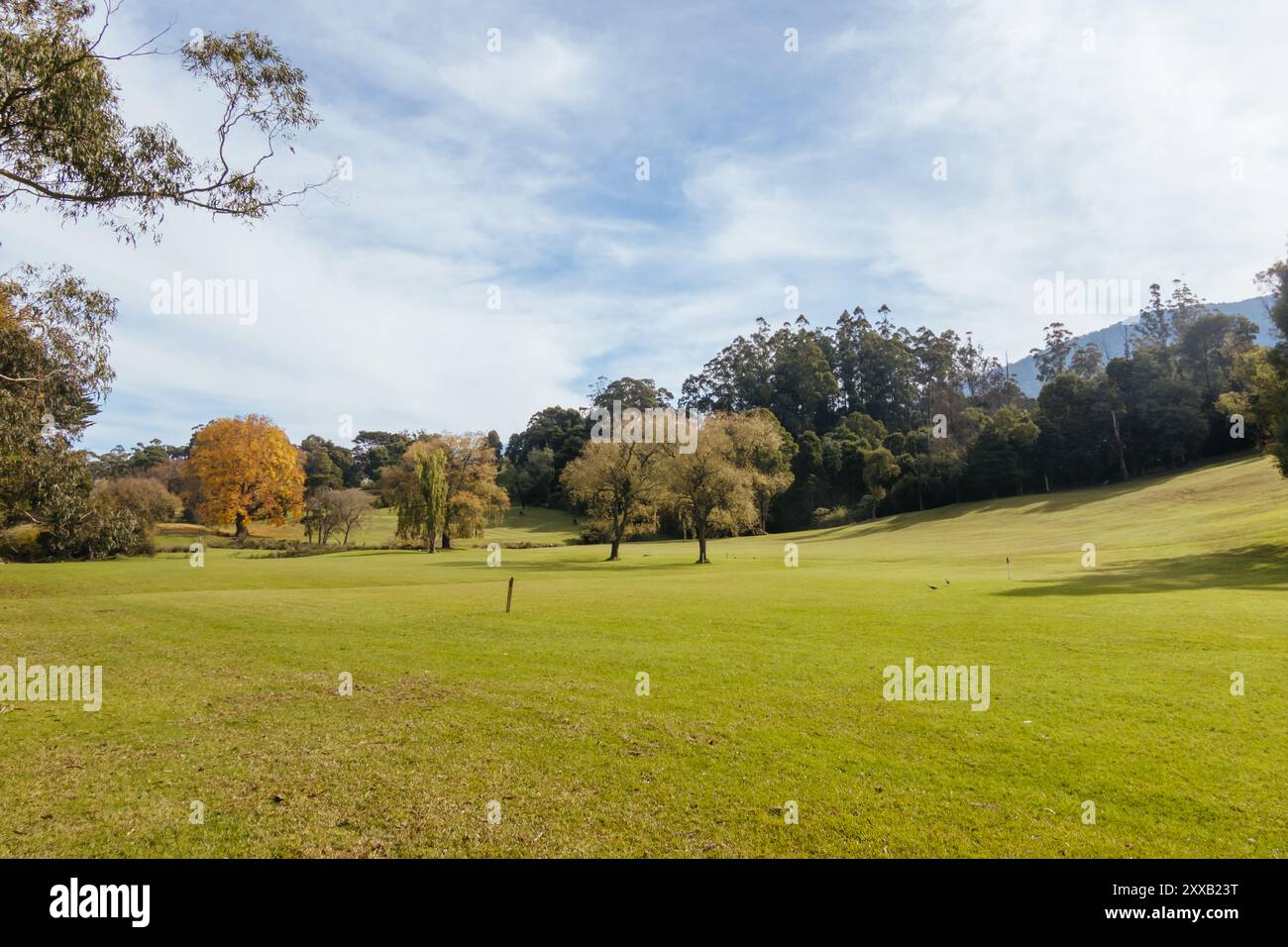 Warburton Golf Club in Australia Stock Photo - Alamy