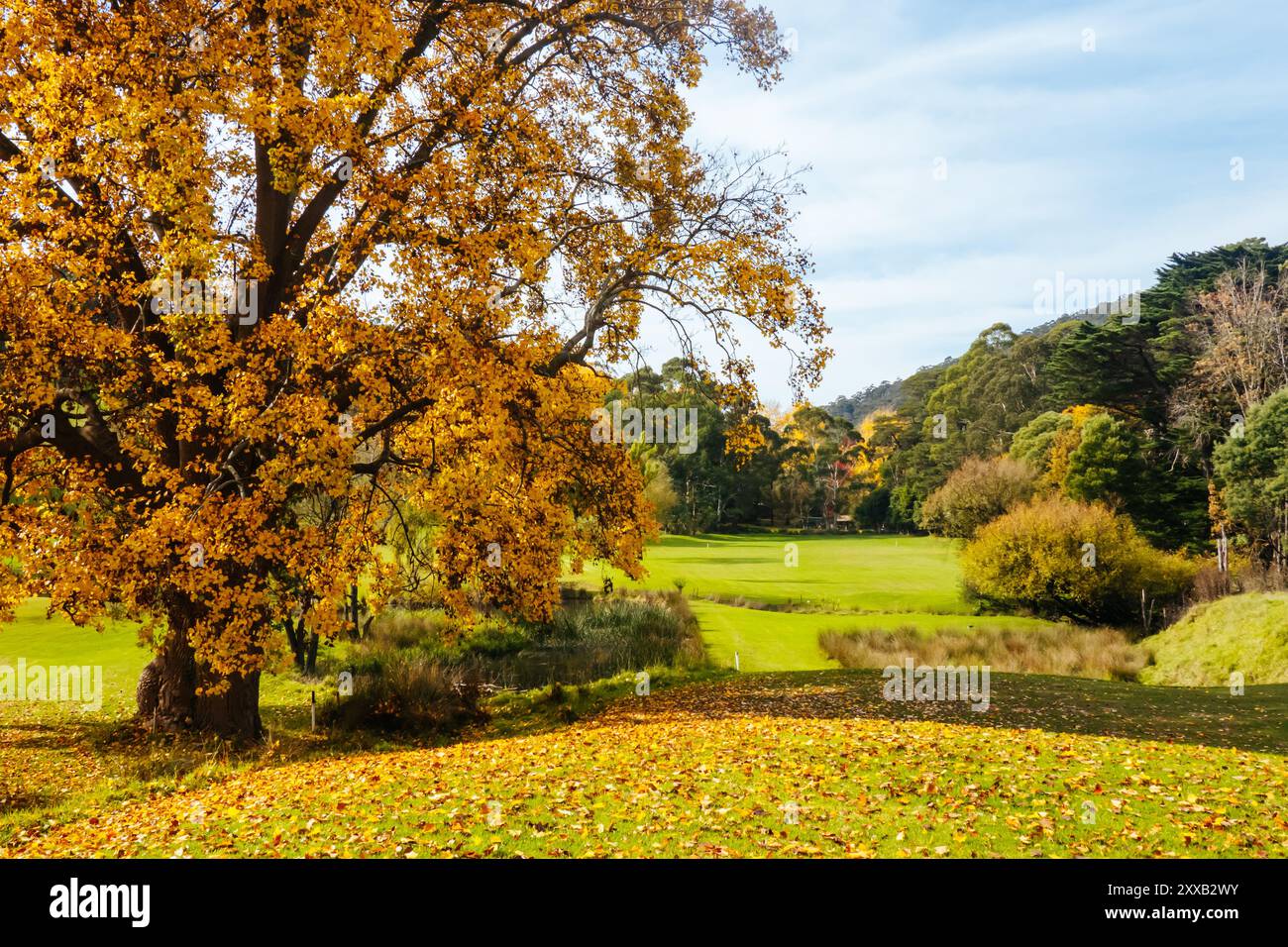 Warburton Golf Club in Australia Stock Photo - Alamy