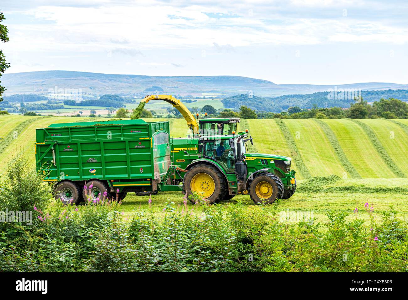 Collecting grass for silage making with a John Deere 6130R tractor and ...