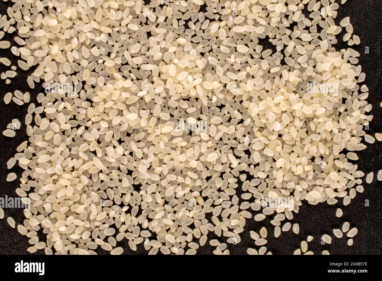 Round grain uncooked rice on slate stone, macro, top view Stock Photo ...