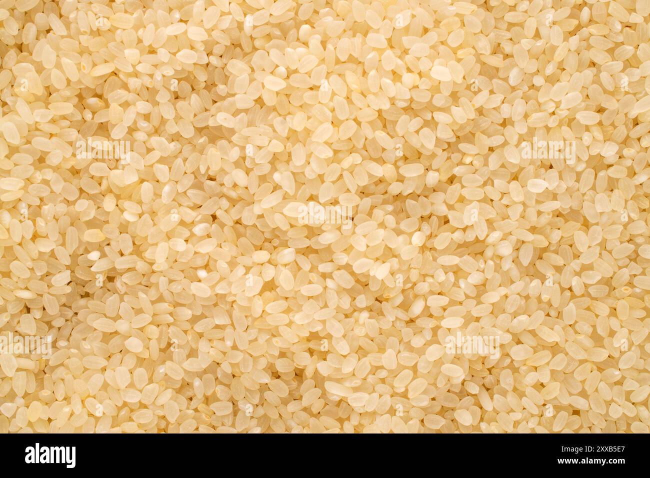 Round grain uncooked rice, macro, top view Stock Photo - Alamy